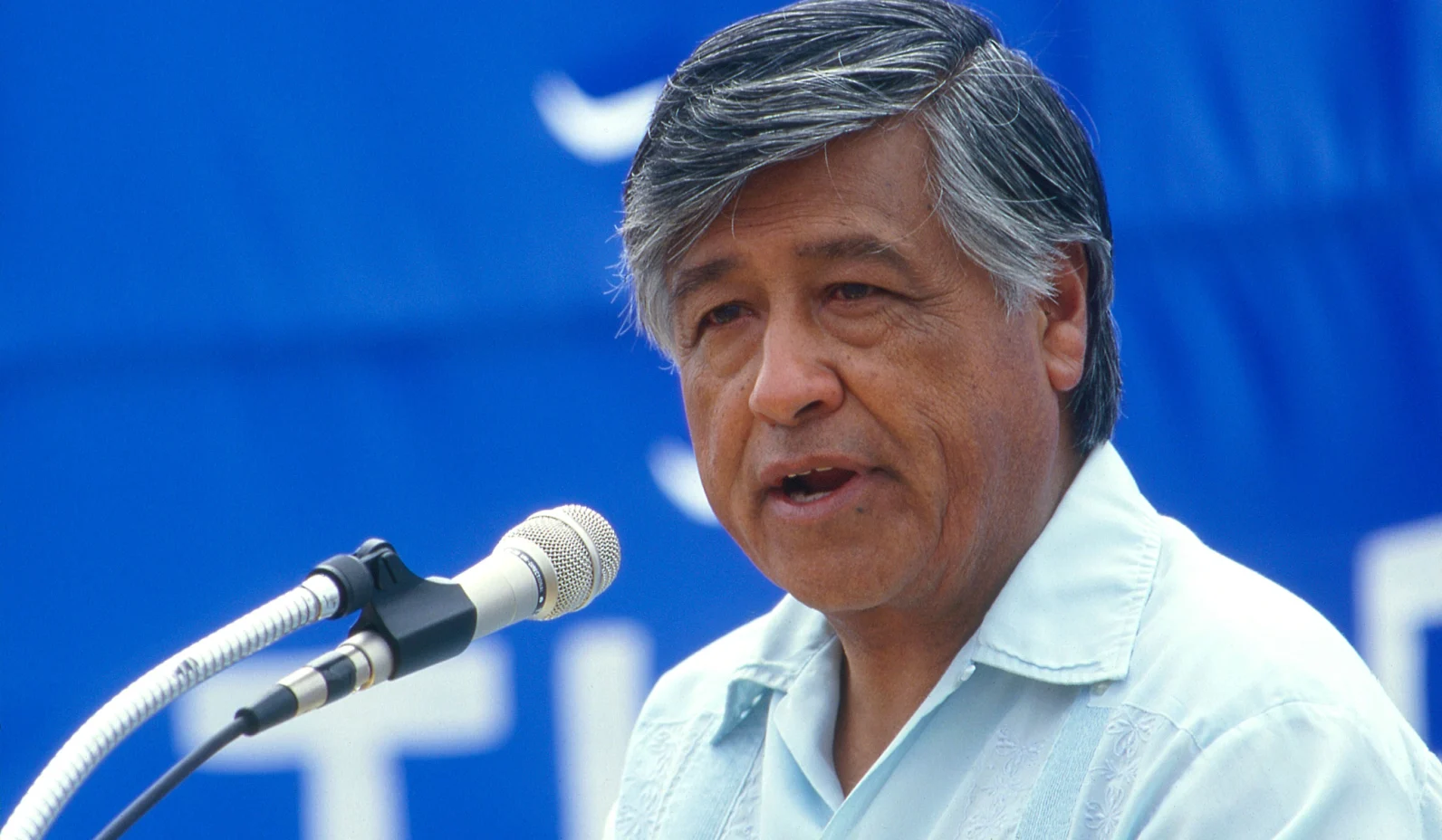 Cesar Chavez Belonged to a Vanishing Breed: The Pro-Borders Left ...